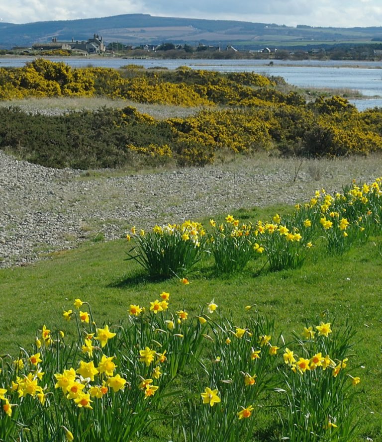 Spring in Scotland - snow or sun - excitement guaranteed!