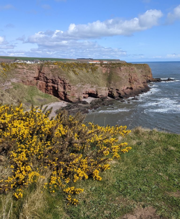 Where is Angus? Glens, hills and a fine coast – Must See Scotland